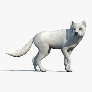 arctic fox 3d max