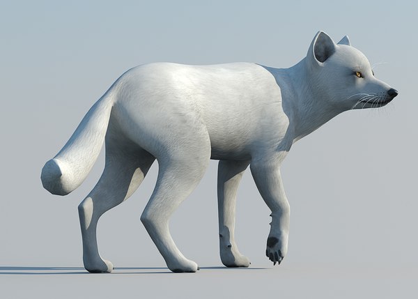 북극 여우 (RIGGED) 3D 모델 - TurboSquid 1072735