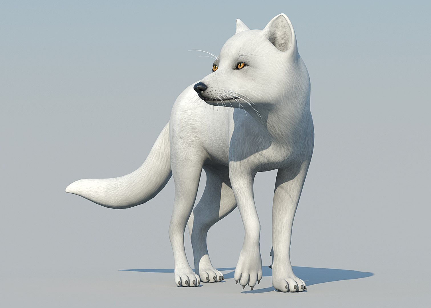 3d Arctic Fox Rigged