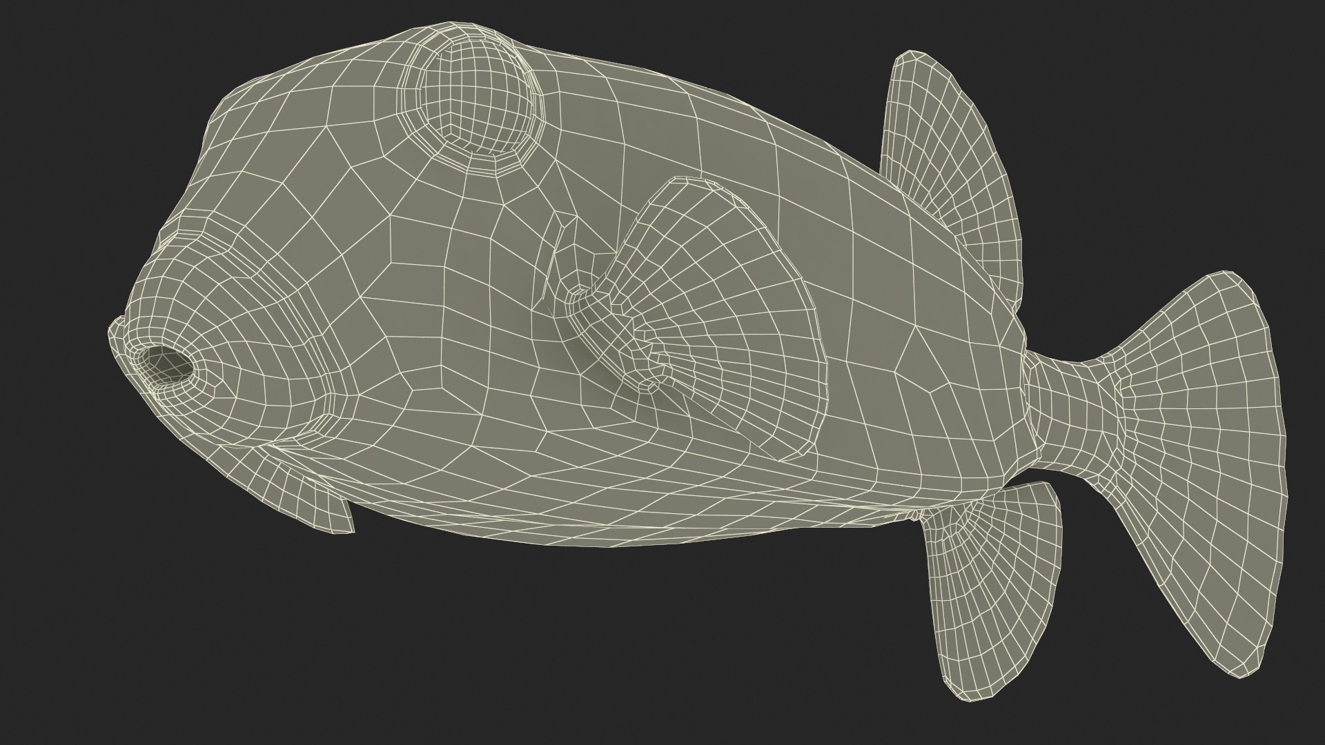 3D Model Ostracion Meleagris Fish Blue - TurboSquid 2325289