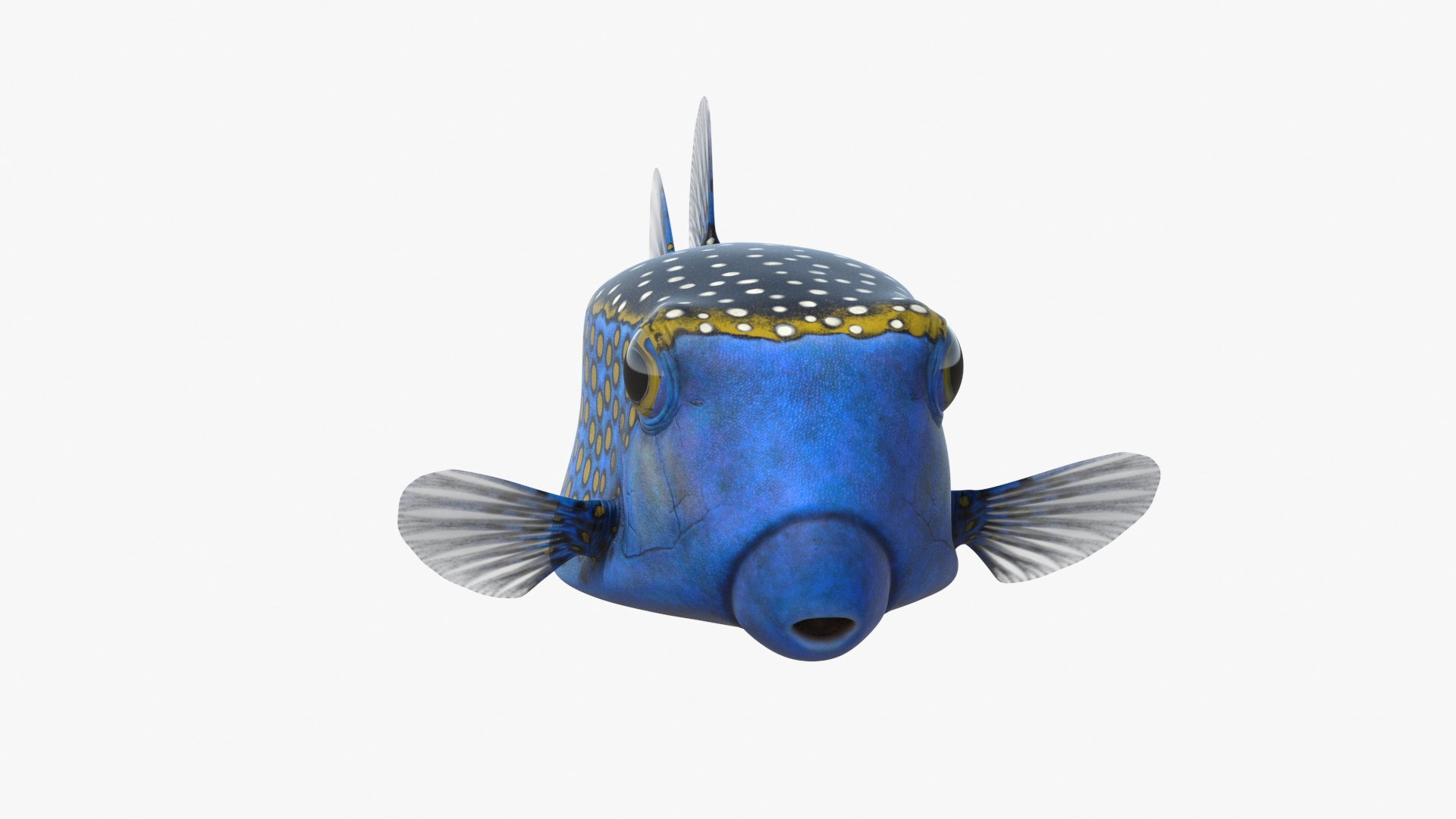 3D Model Ostracion Meleagris Fish Blue - TurboSquid 2325289