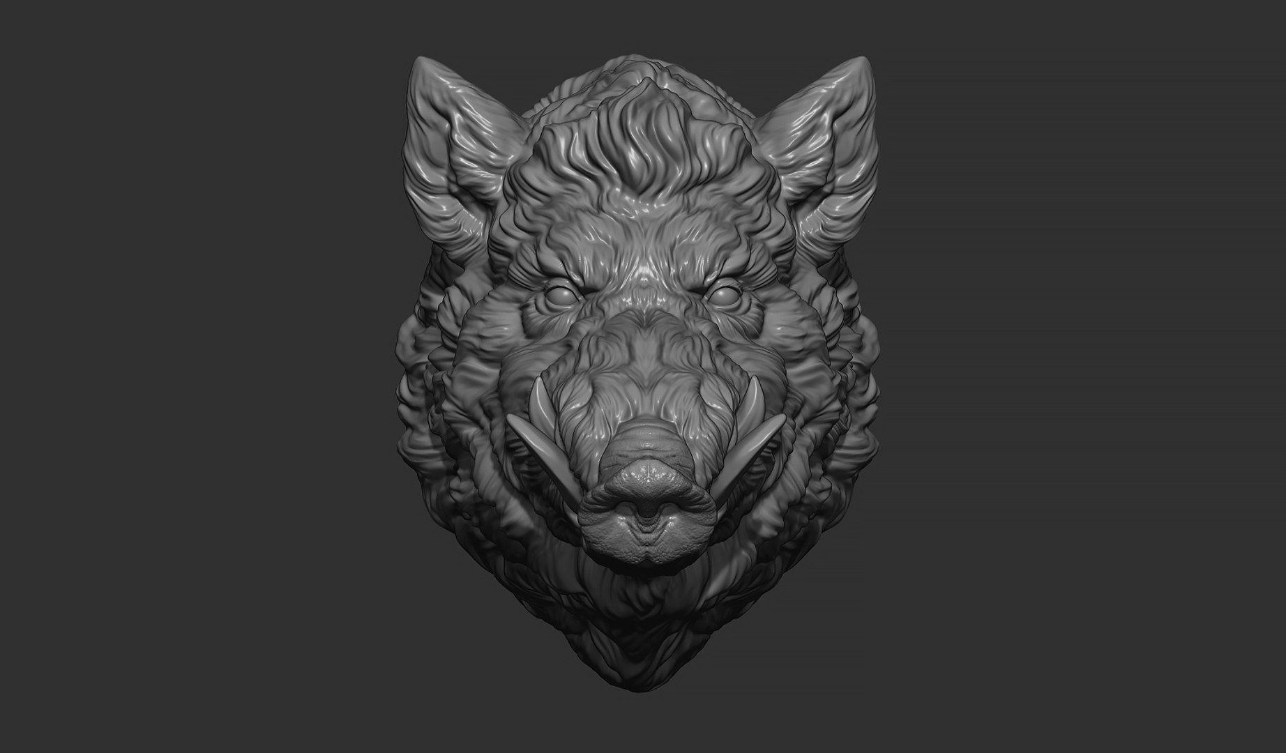 3D Boar Hog - TurboSquid 1905613