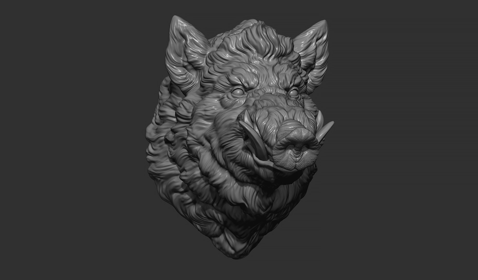 3D Boar Hog - TurboSquid 1905613