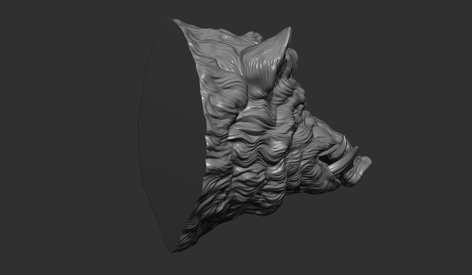 3D Boar Hog - TurboSquid 1905613