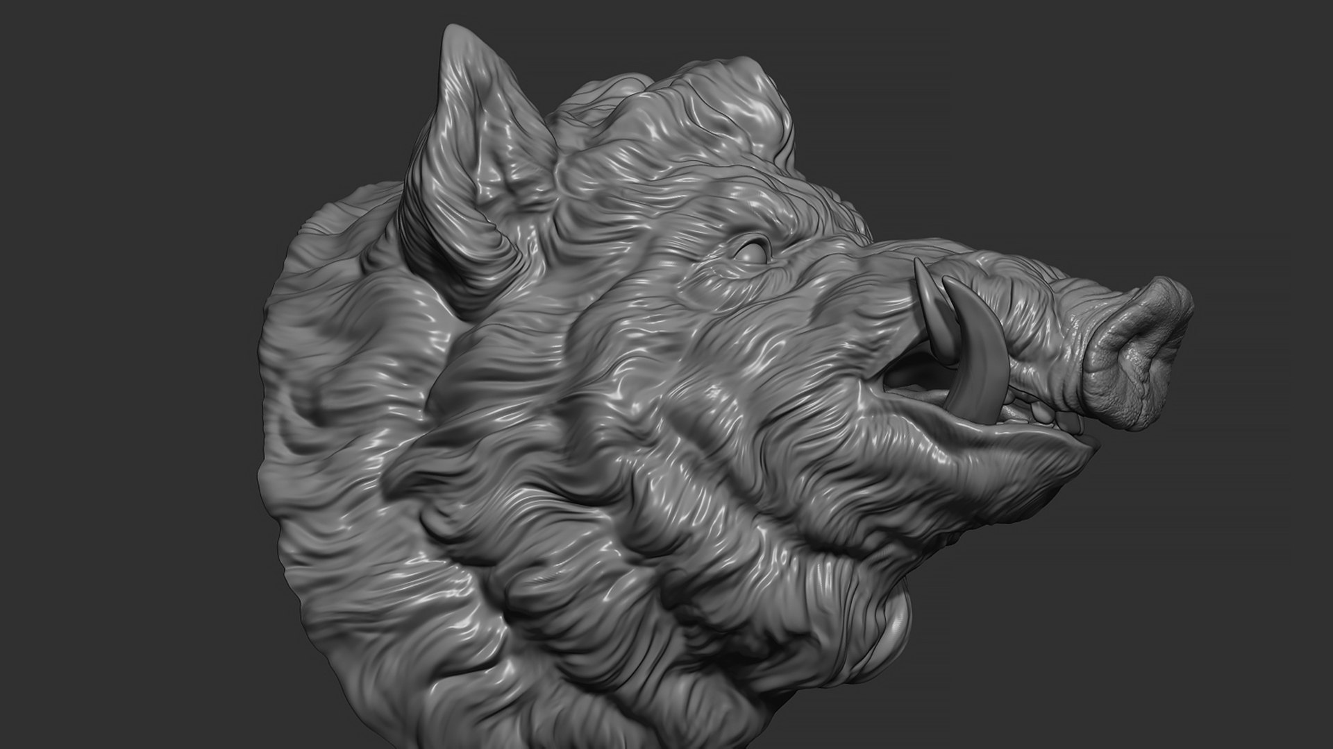 3D Boar Hog - TurboSquid 1905613