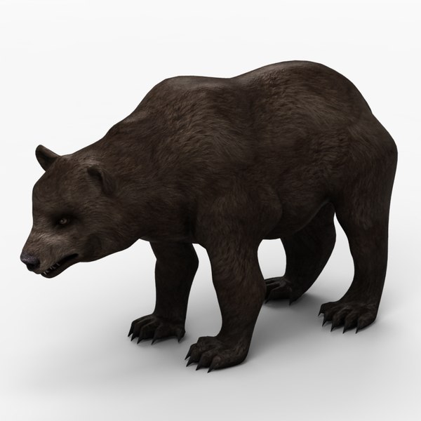 3d model bear
