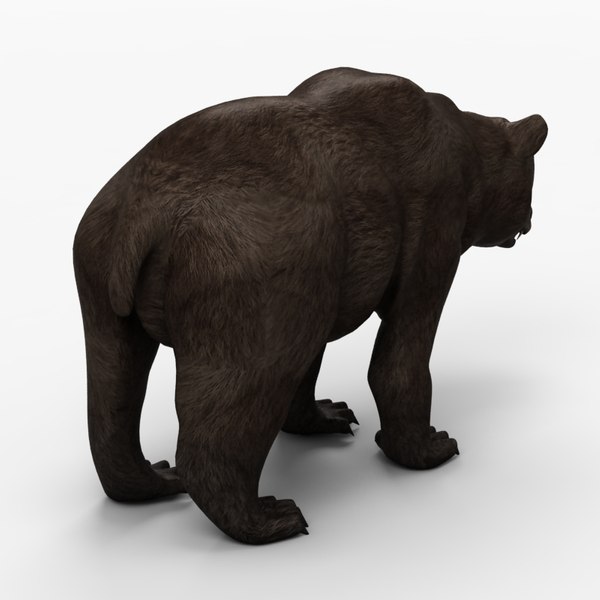 3d model bear
