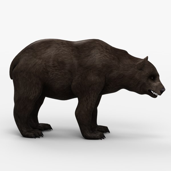 3d model bear