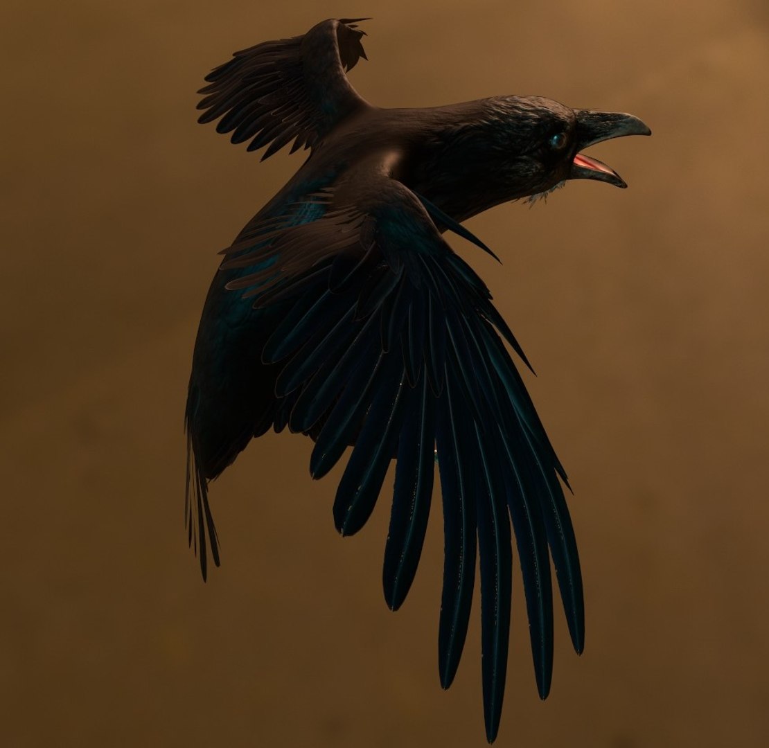 Raven 3D Model - TurboSquid 1855348