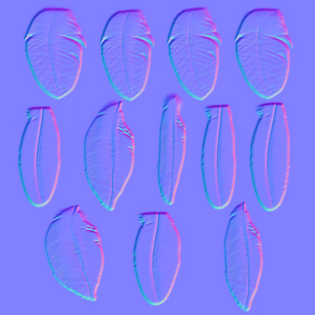 Raven 3D Model - TurboSquid 1855348