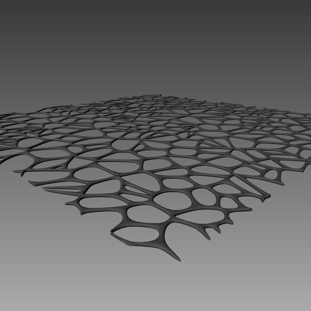Webbing Organic 3d Model