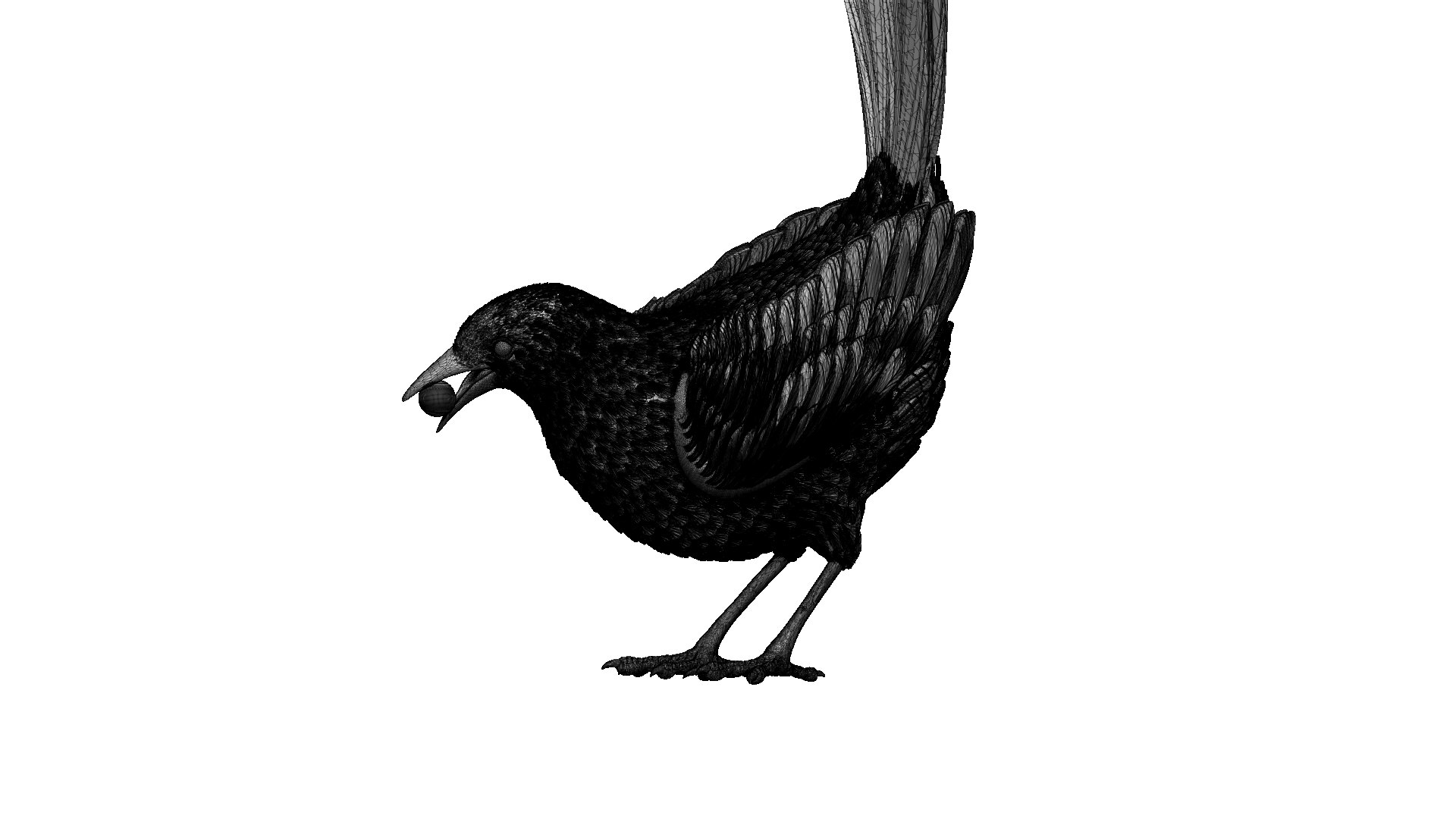 Magpie Model - TurboSquid 2408122