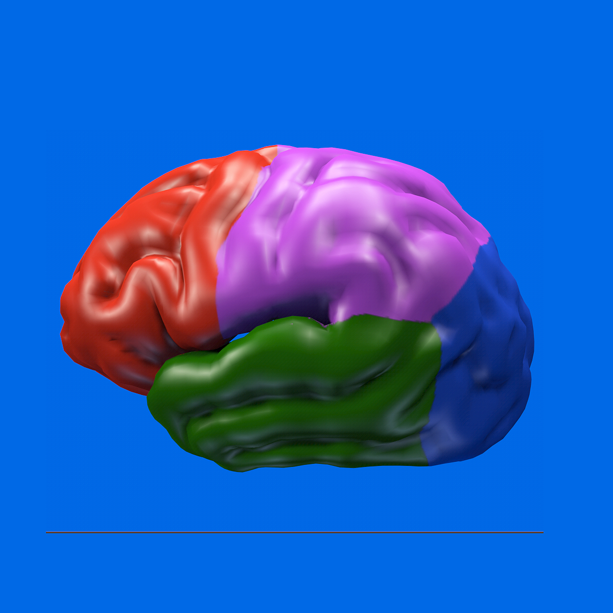 brain s 3ds