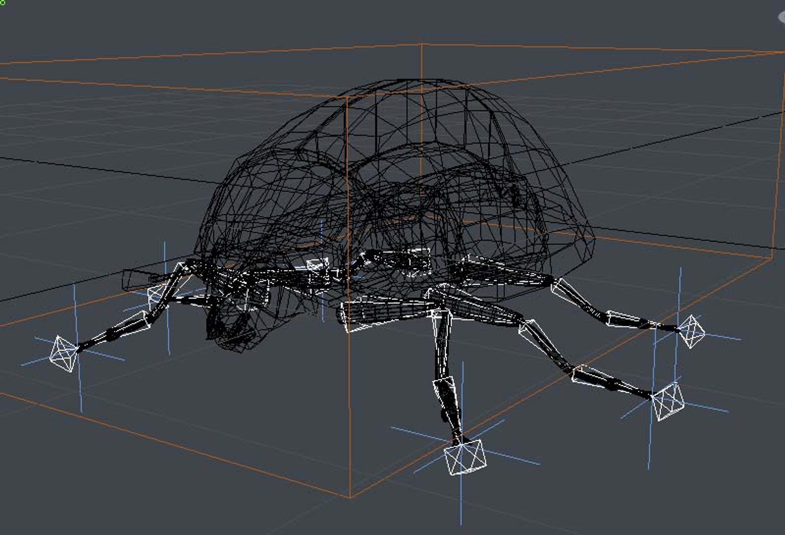 Ladybug Bug 3d Model