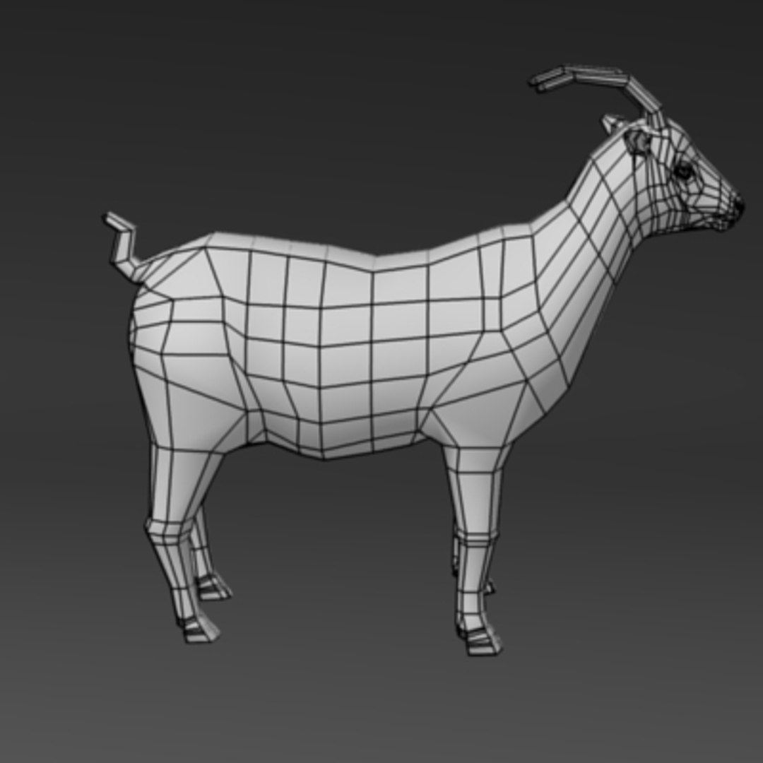 3d Model Of Goat
