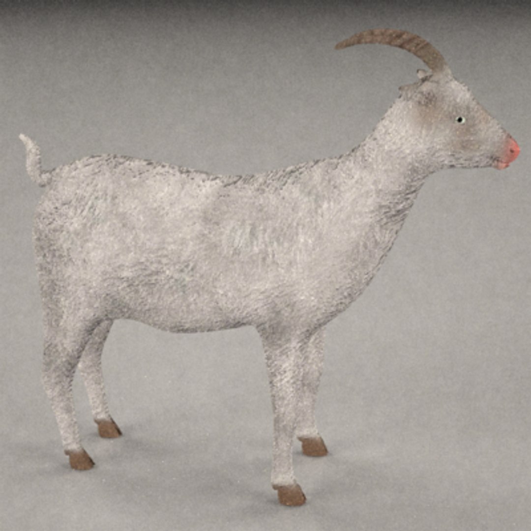 3d Model Of Goat