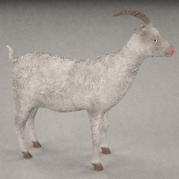 3d model of goat