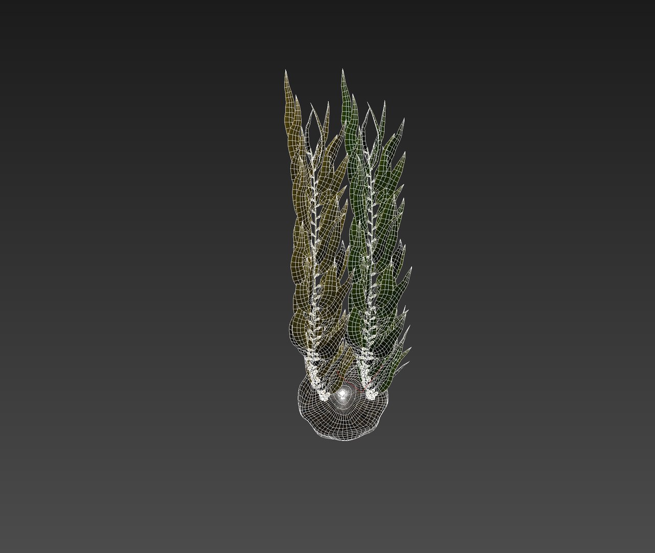 3D Kelp Brown Pbr - TurboSquid 1378609