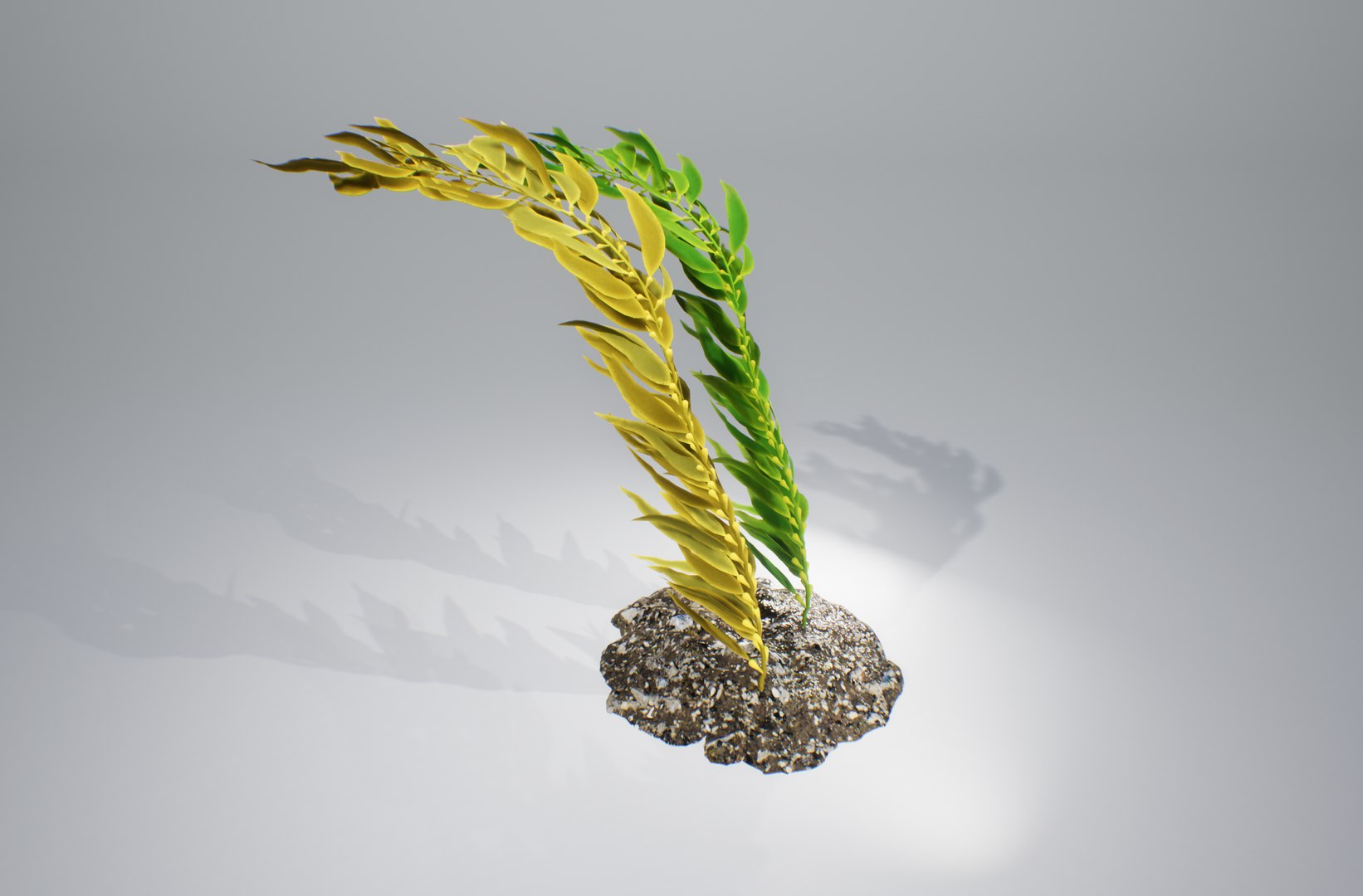 3D Kelp Brown Pbr - TurboSquid 1378609