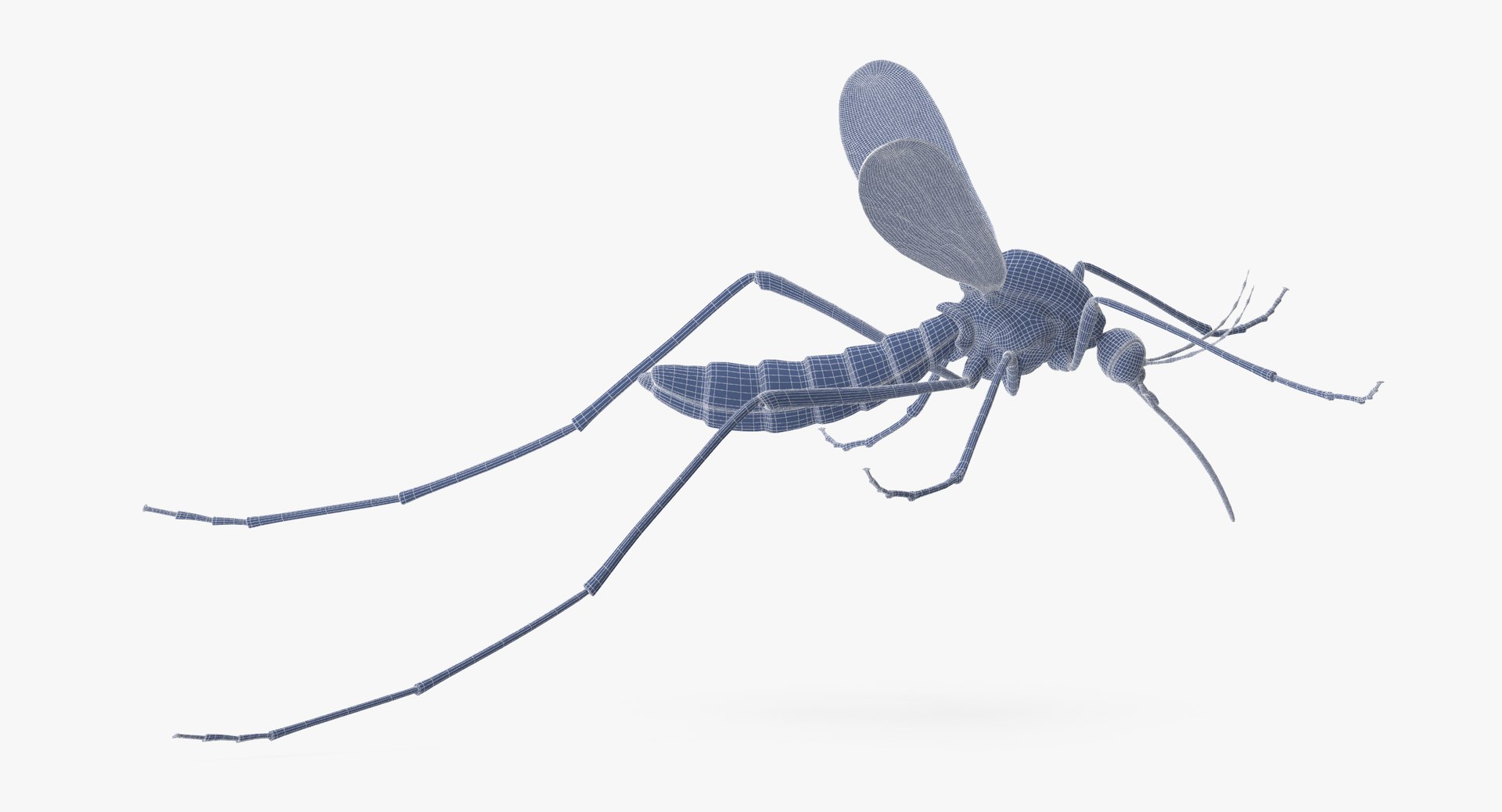 Flying Mosquito 3d Model