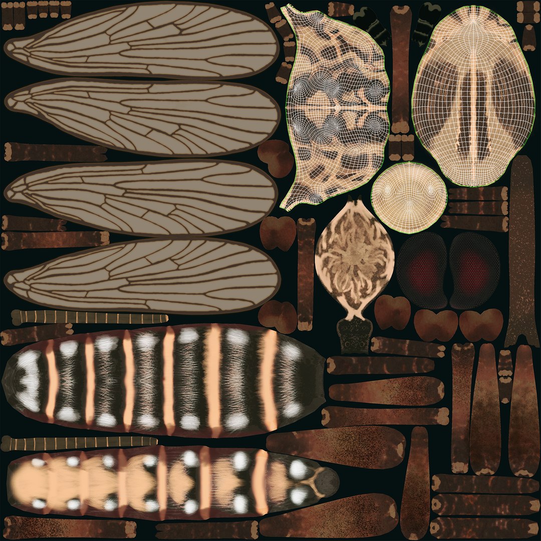 Flying Mosquito 3d Model