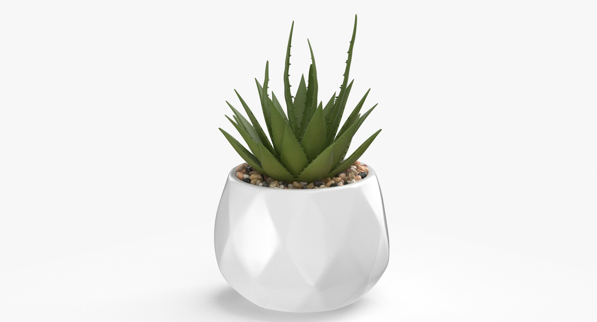 Prop02 Succulents In Pots Type 03 Model - TurboSquid 2143985