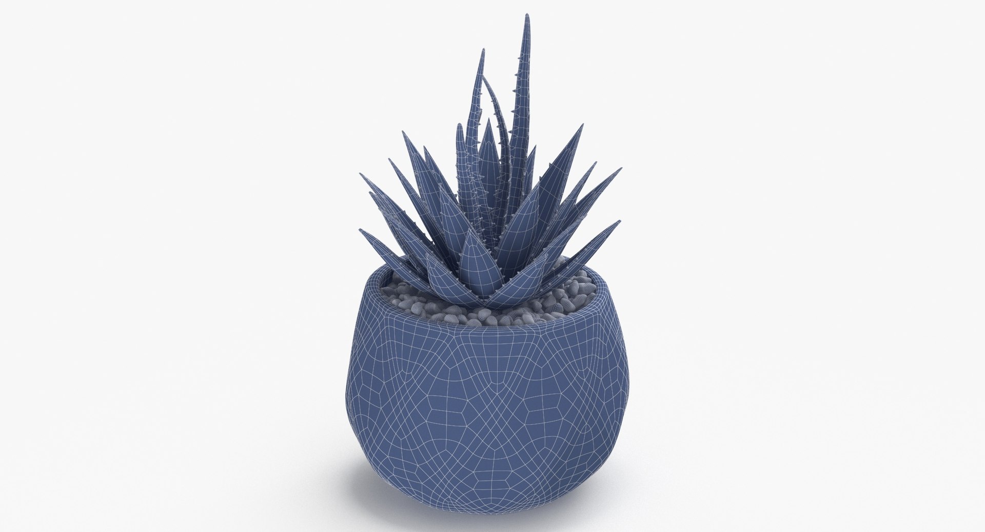 Prop02 Succulents In Pots Type 03 Model - TurboSquid 2143985