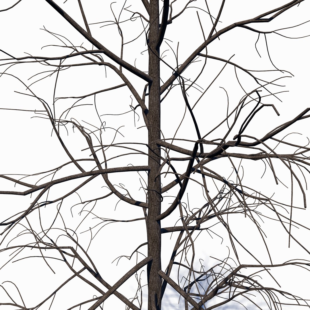 3D dead tree model - TurboSquid 1309350
