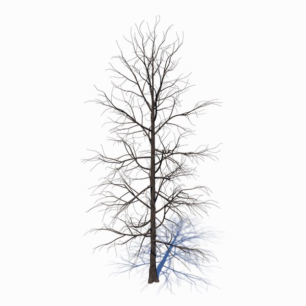 3D dead tree model - TurboSquid 1309350