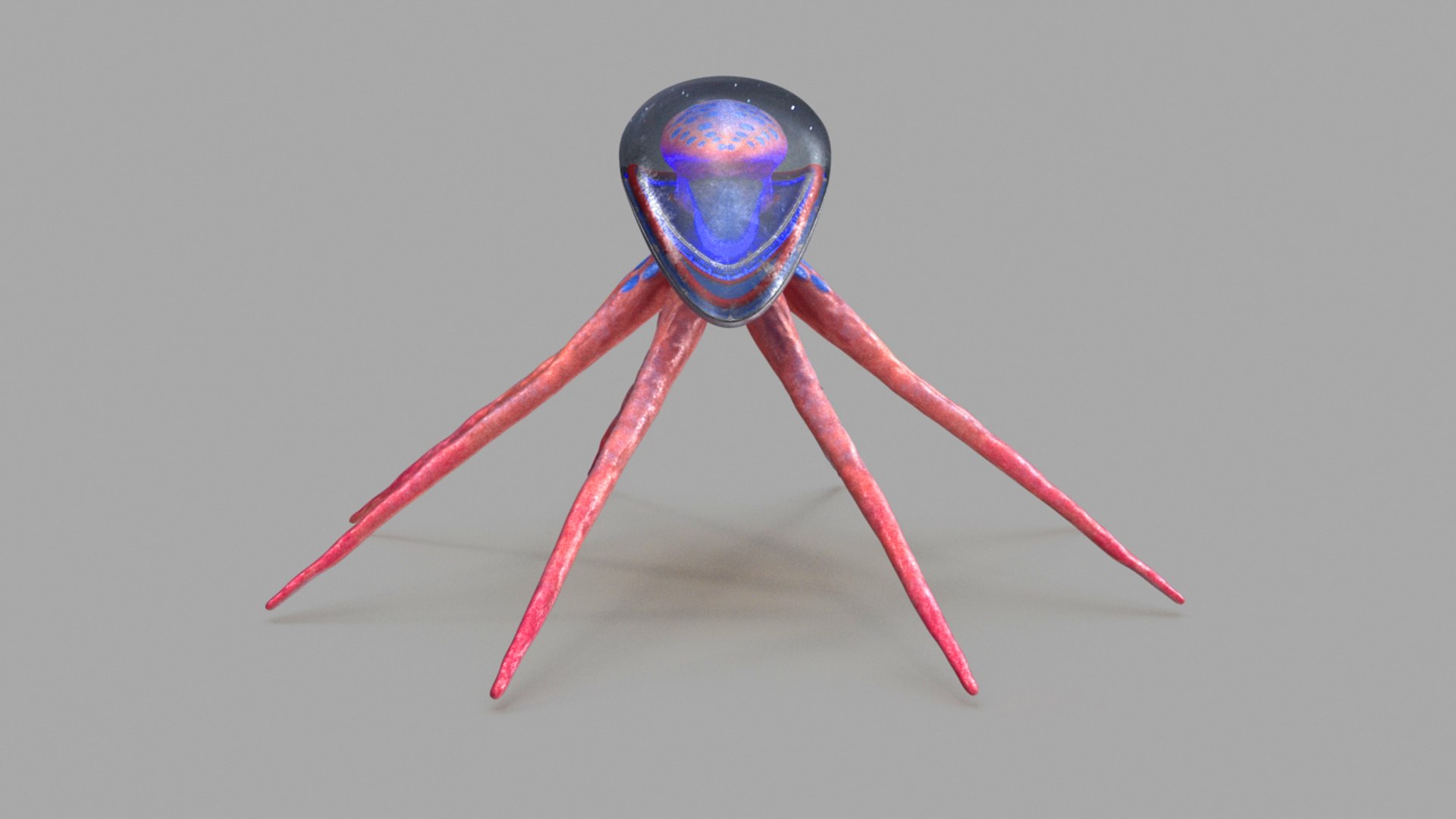 3D model realistic space octopus - TurboSquid 1384453