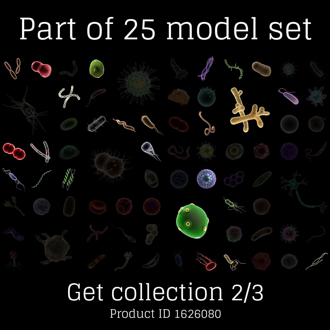 Microbes Bacteria Cells 3D Model - TurboSquid 1626168