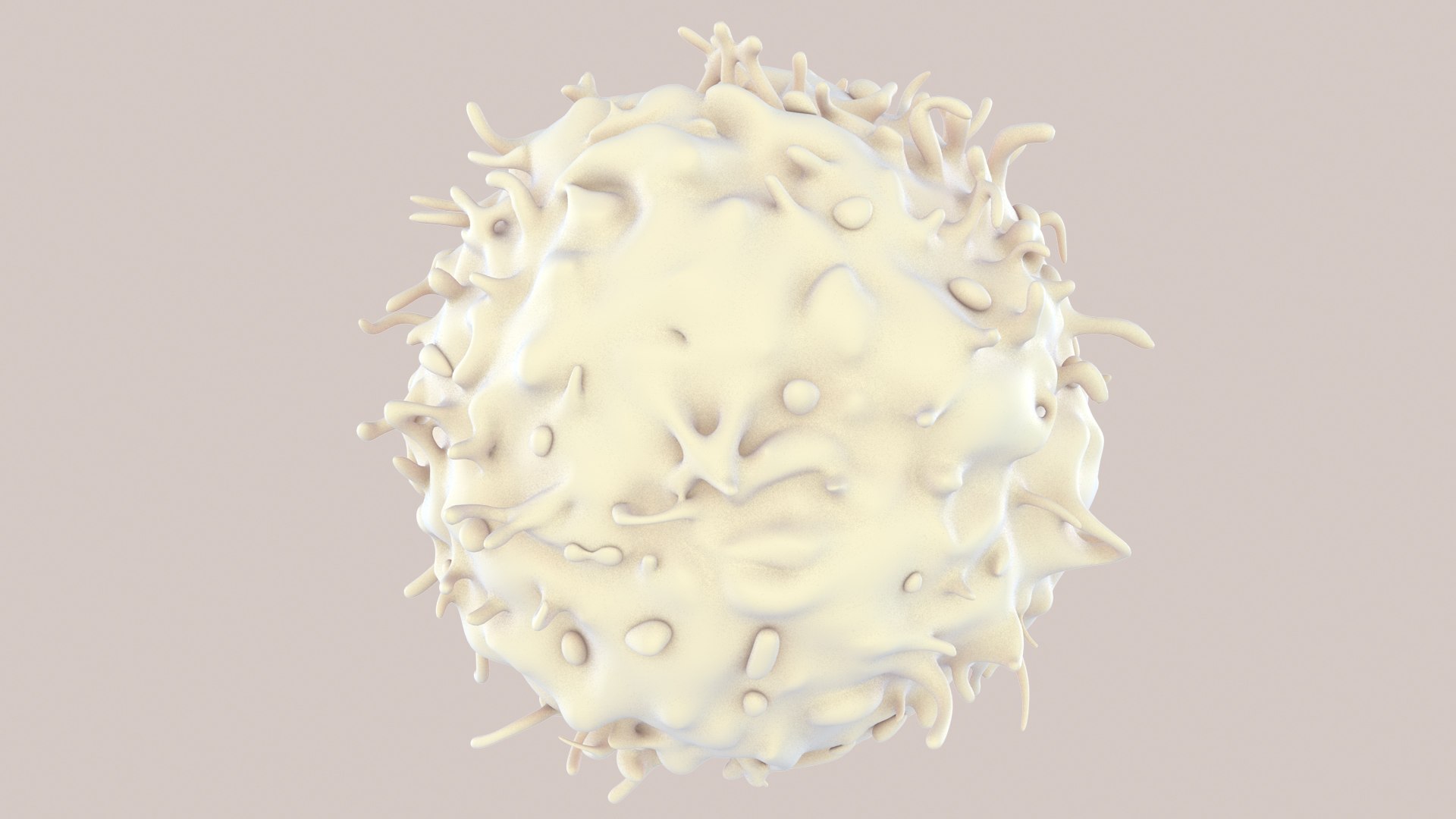 Lymphocyte 3D Model - TurboSquid 1803524