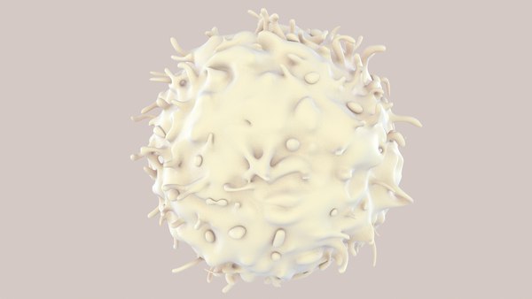 Lymphocyte 3D model - TurboSquid 1803524