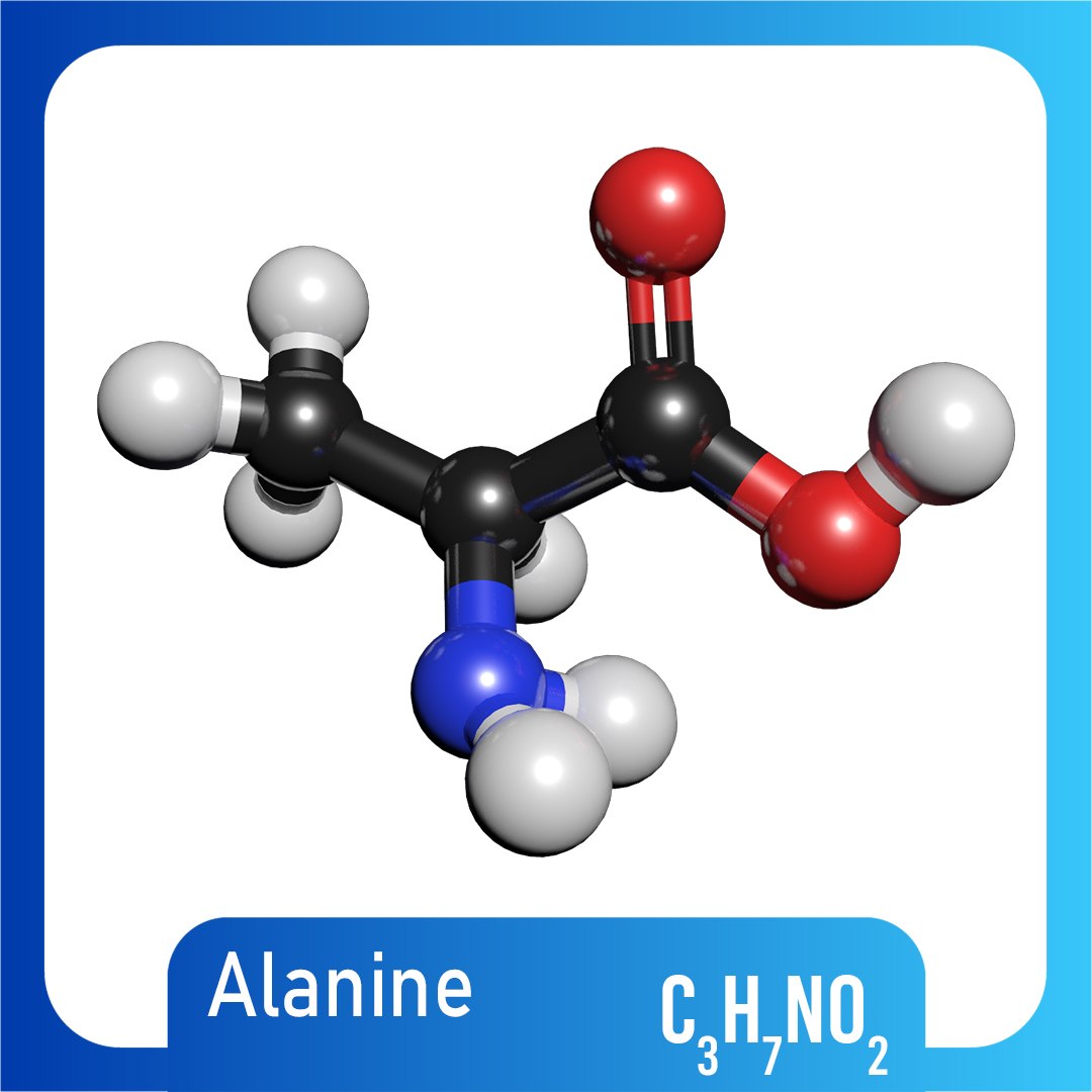 3D Model C3h7no2 Molecule Alanine - TurboSquid 1421056