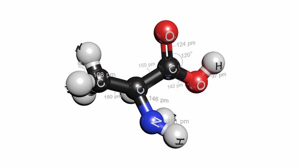 3D model c3h7no2 molecule alanine - TurboSquid 1421056