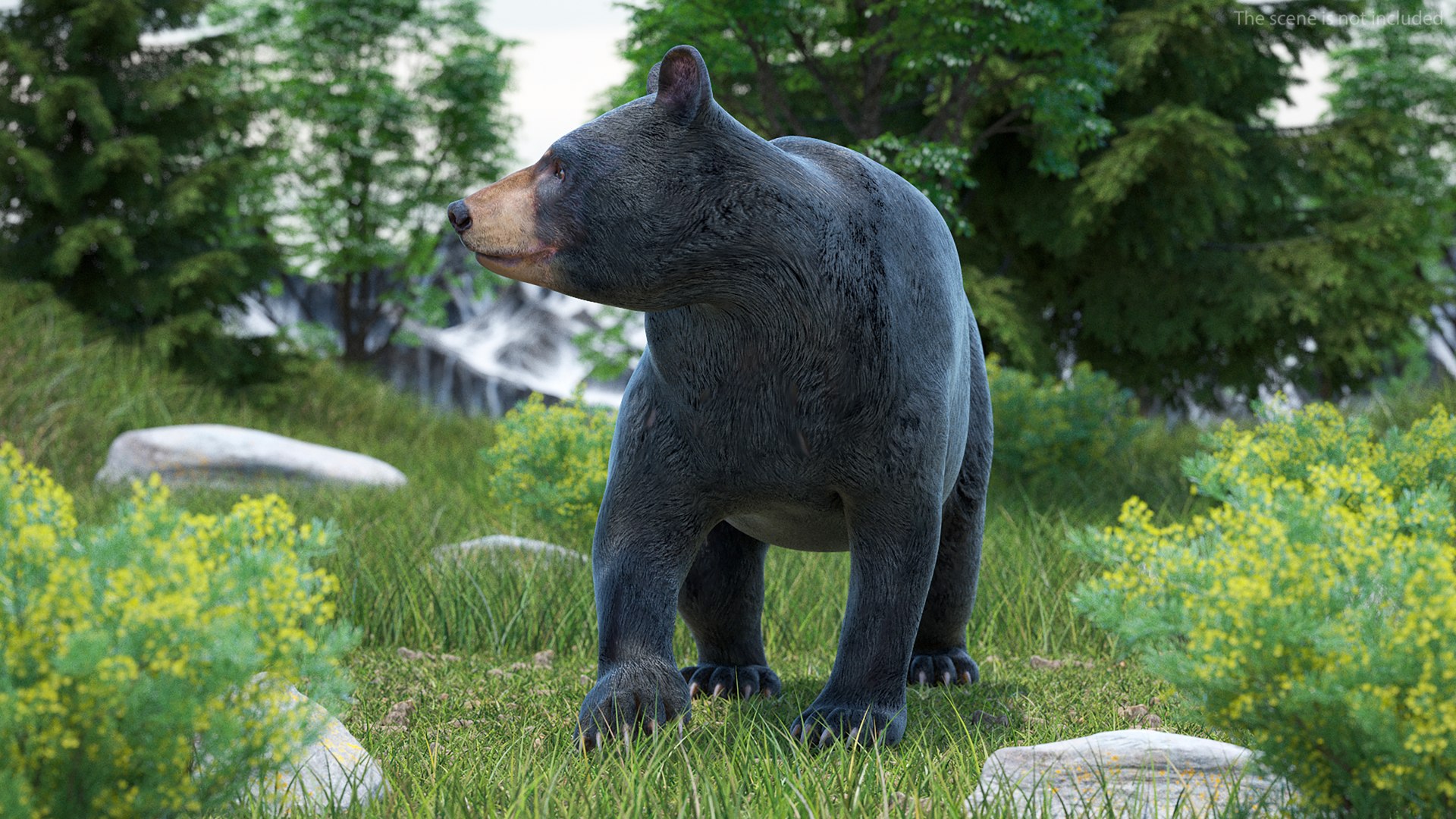 Black Bear In Walking Pose 3D Model - TurboSquid 2255010