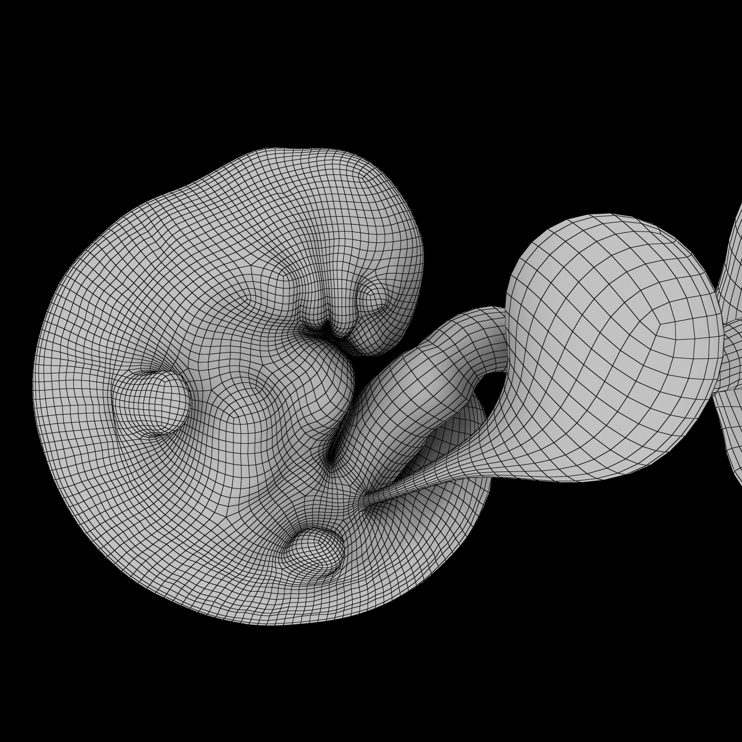 Free 3D fetus 37 development - TurboSquid 1329462