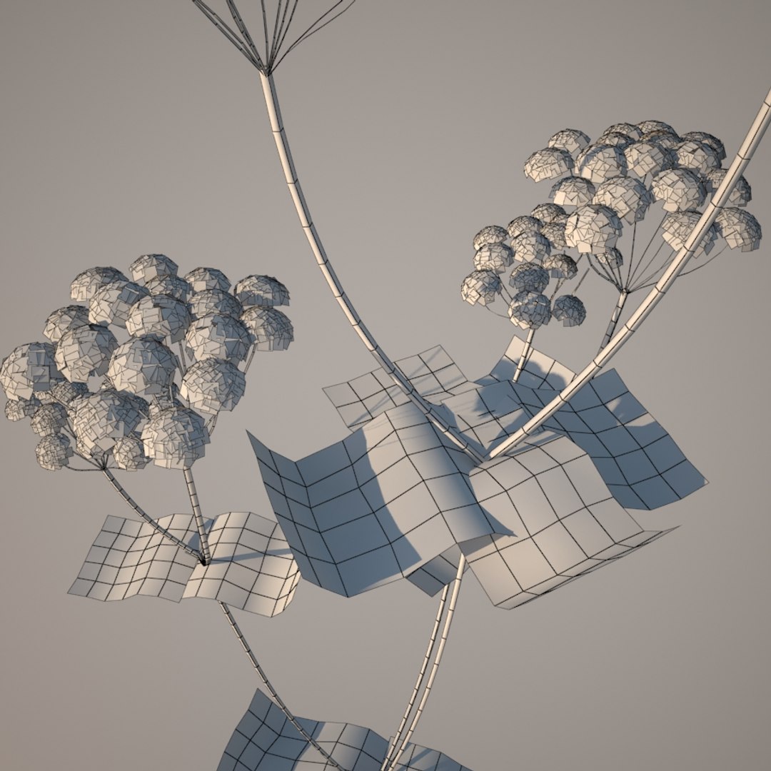 3d Model Plant Weed Grass
