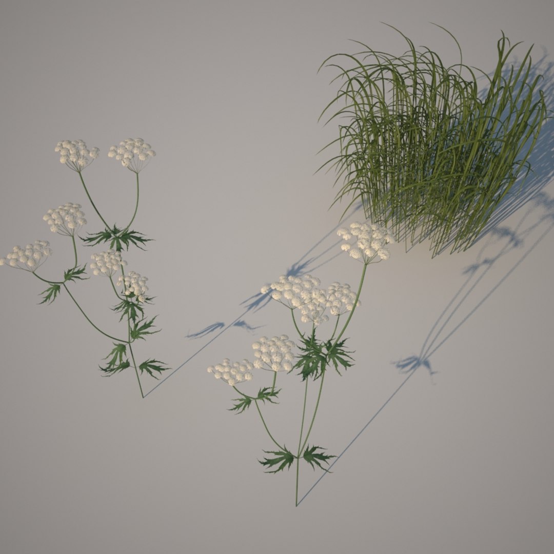 3d Model Plant Weed Grass