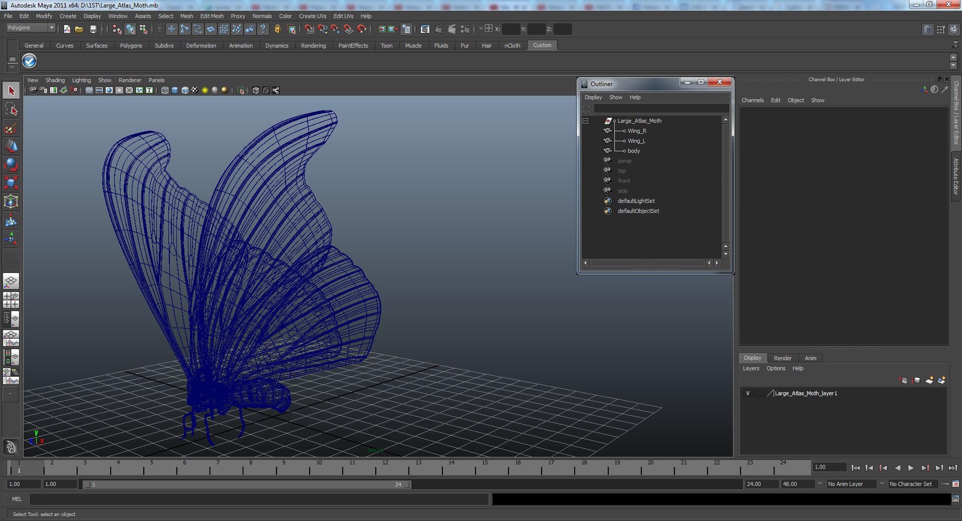 3D Large Atlas Moth Model - TurboSquid 1192482