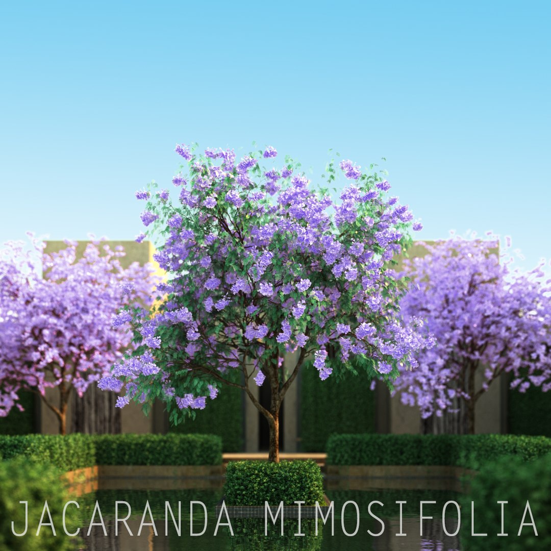 3d Flower Tree Model