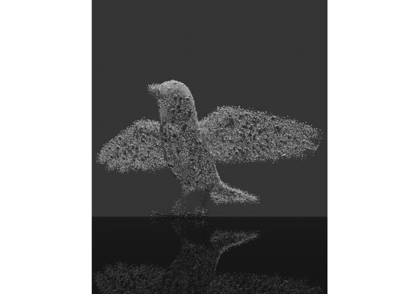 modelo 3d Particle Animal Bird - TurboSquid 2067804