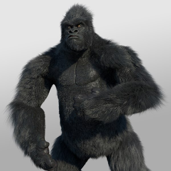 Gorilla 3D Models for Download | TurboSquid