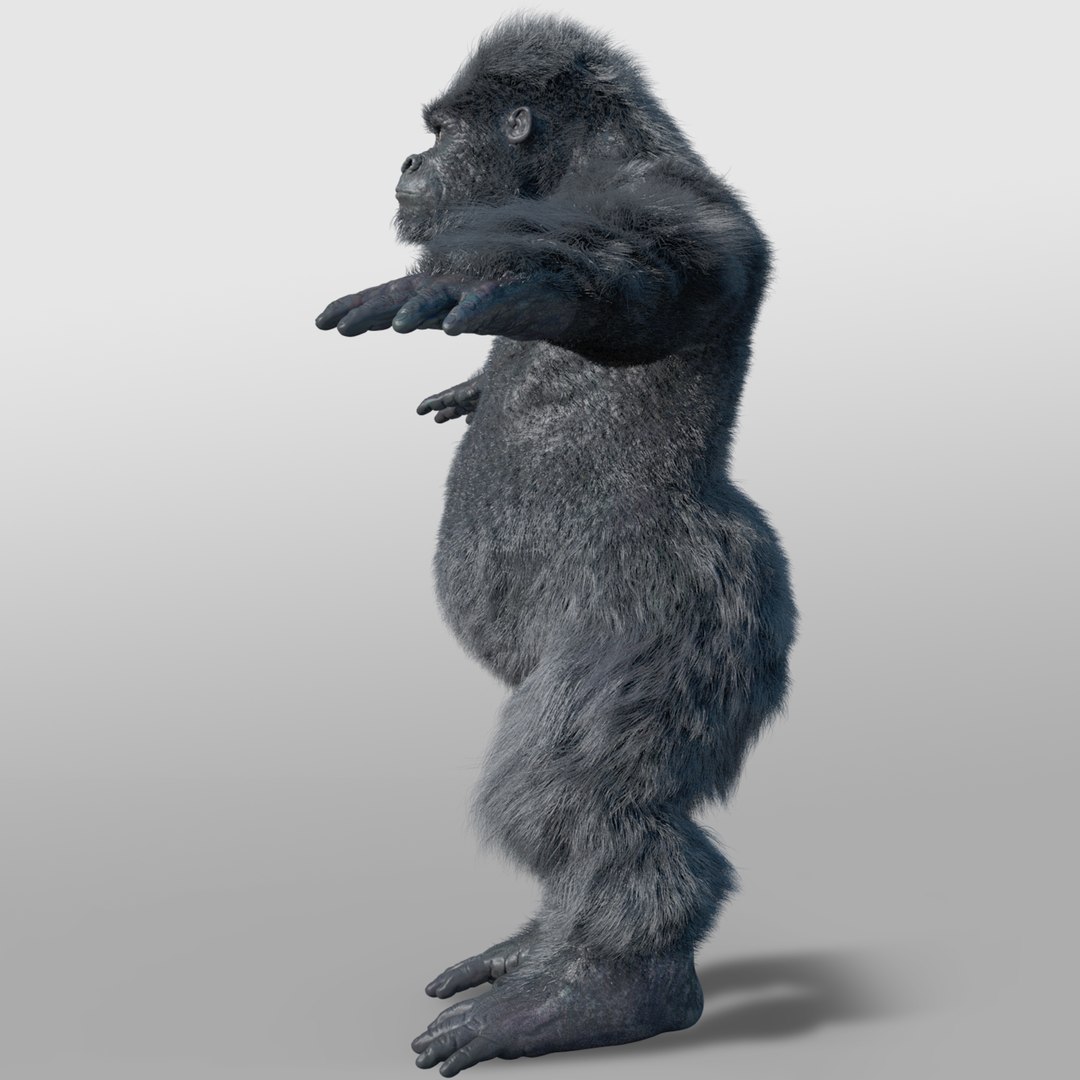 3ds Max Gorilla Rigged