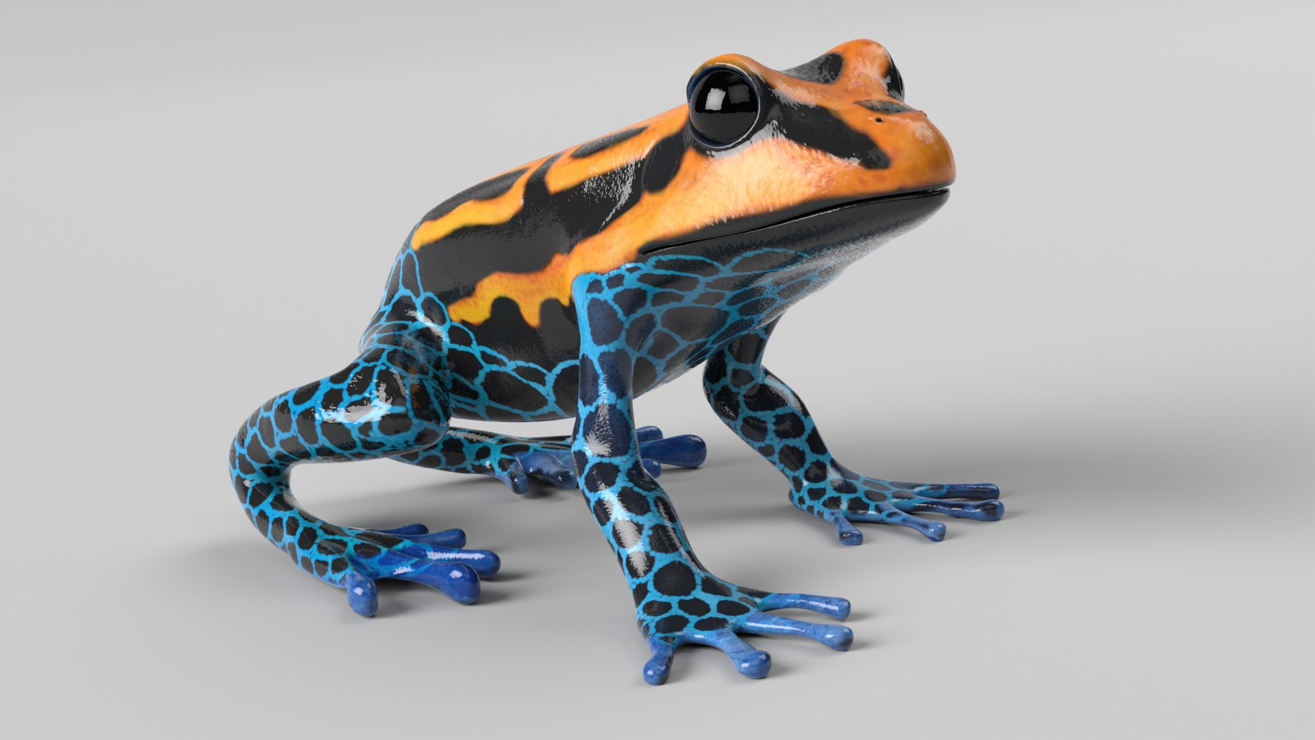 3D Animated Frog Collection - TurboSquid 2229549