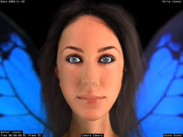 Free Rigged Blender Human Models | TurboSquid