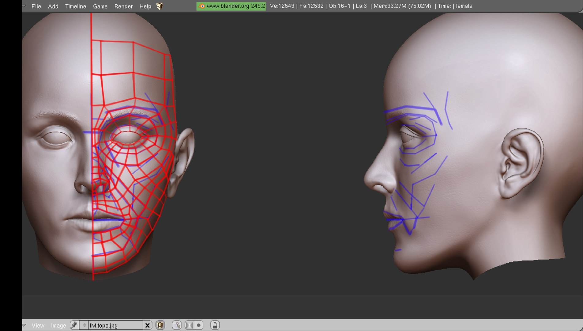Free Female Bump Spec 3d Model