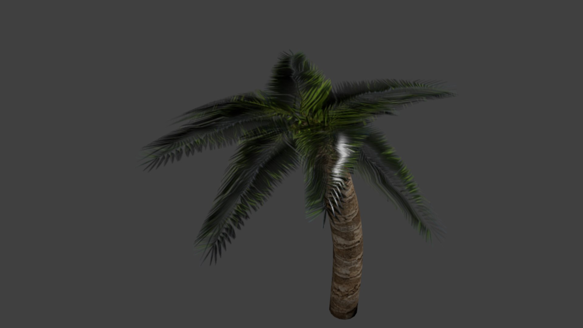 Palm tree 3D - TurboSquid 1305248