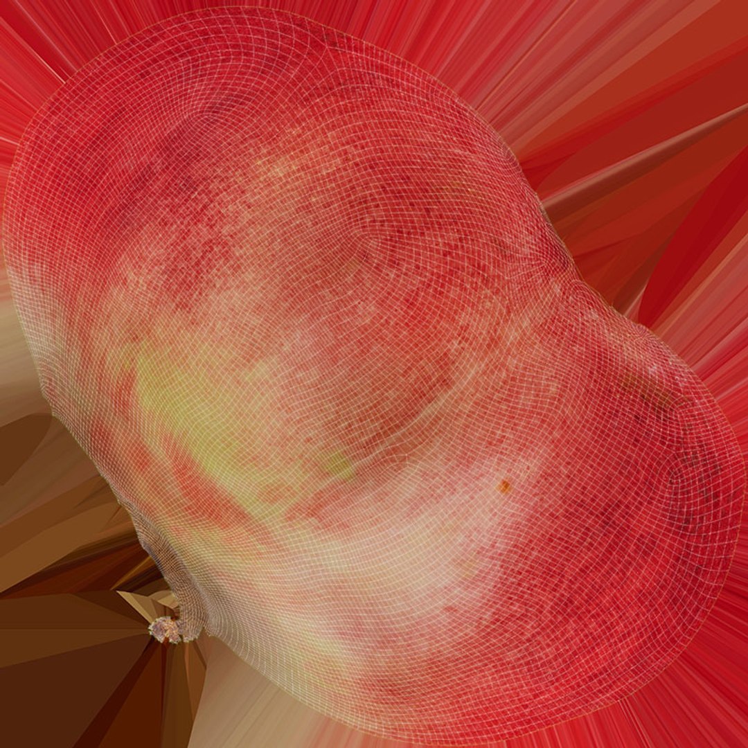 Peach Collection 3D Model - TurboSquid 2285851