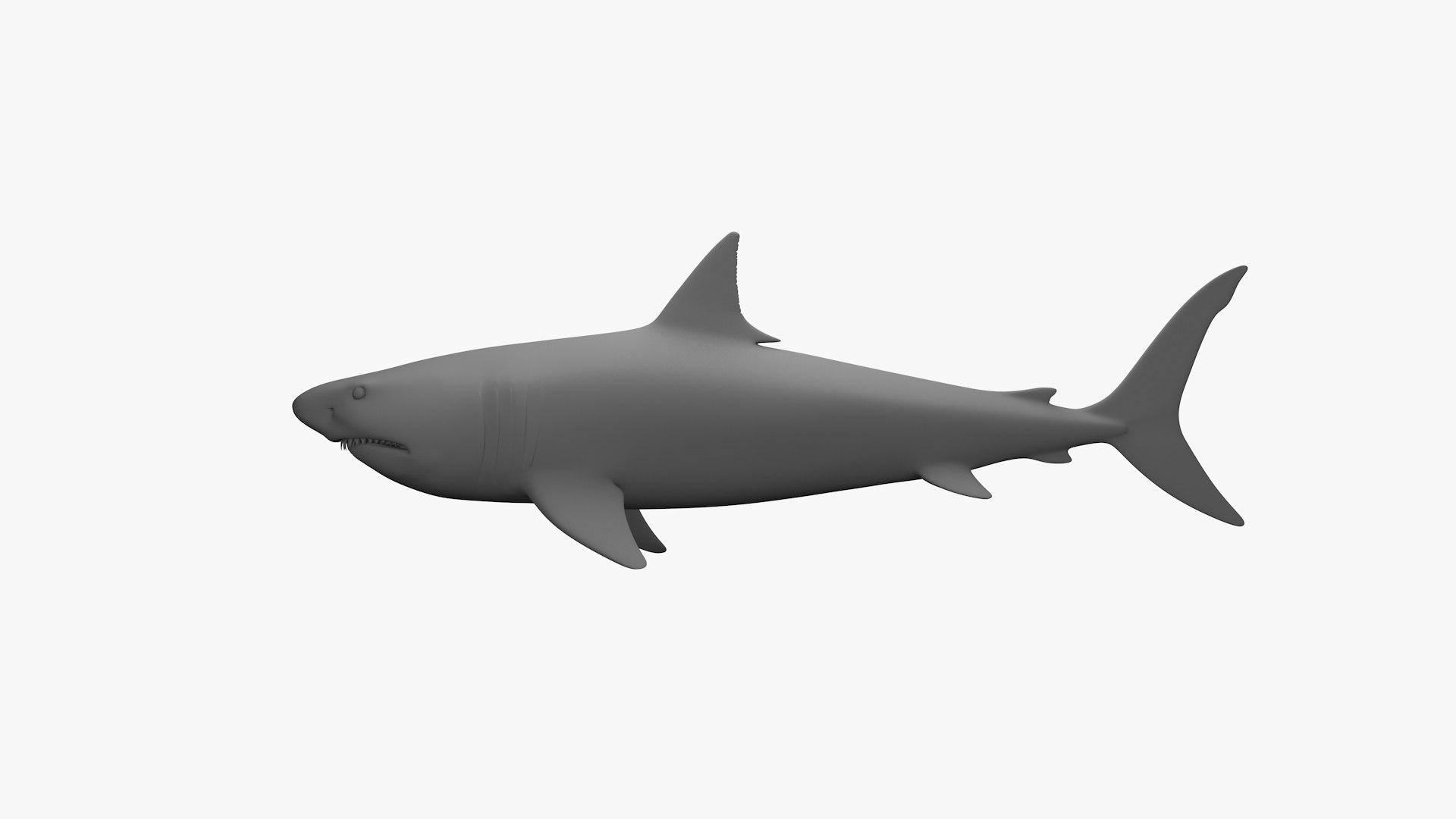 3D Megalodon Dinosaur Model - TurboSquid 2365883